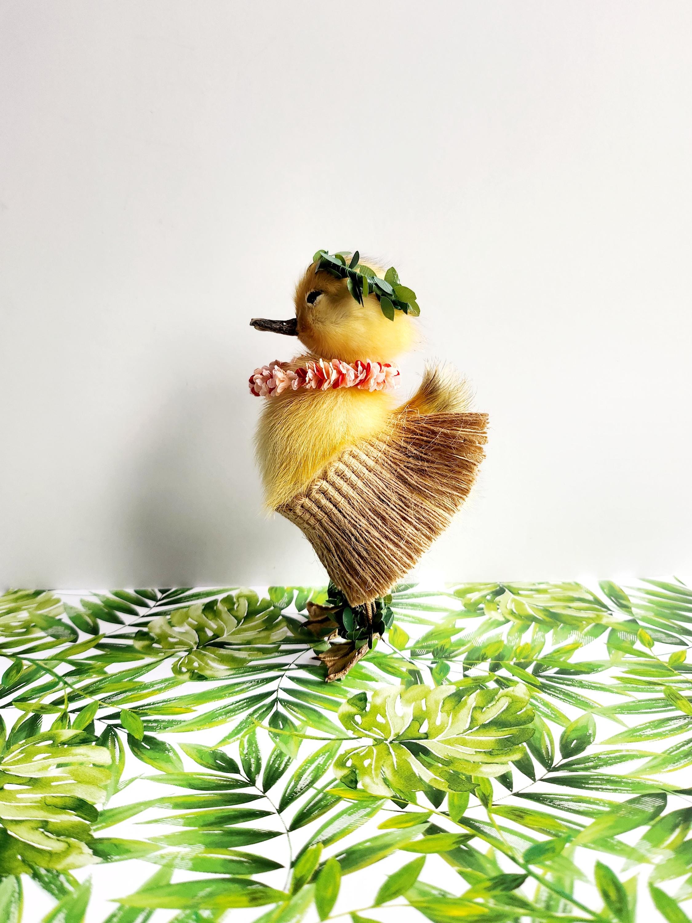 Hula Girl Yellow Duckling Taxidermy, Polynesian Dancer Duck Doll ...