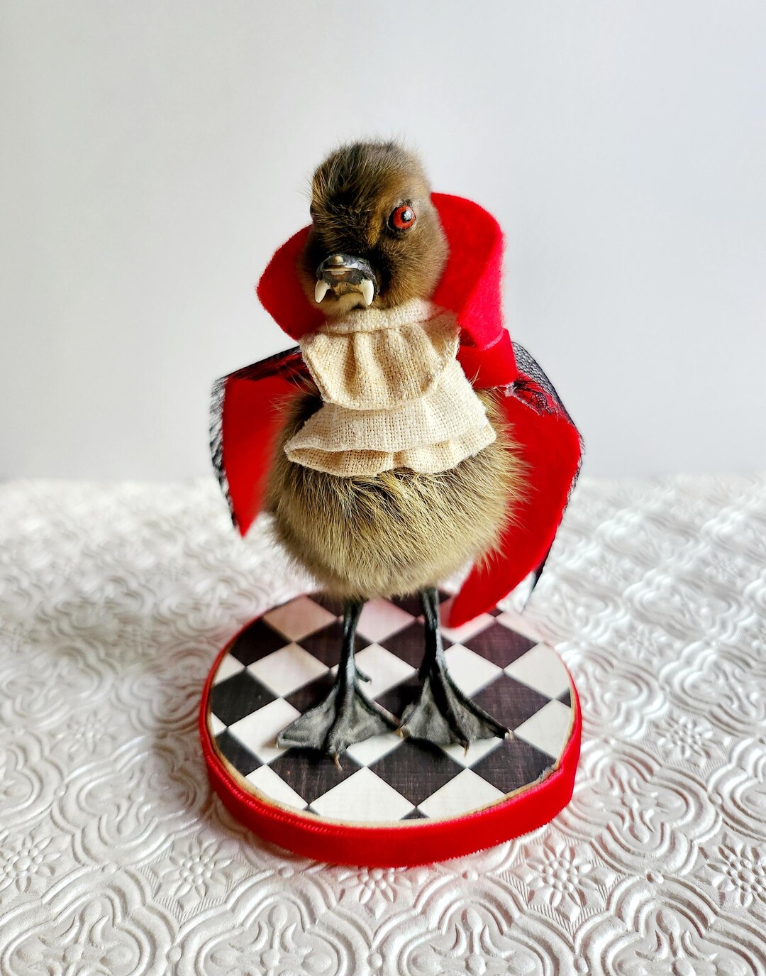 Duckula OOAK Taxidermy Duck, Dracula Real Duckling, Curiosities and ...