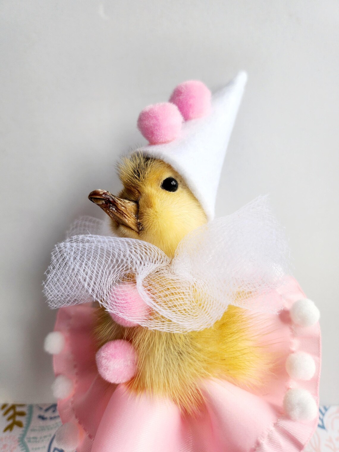 Pierrot Taxidermy Yellow Duckling, Pink Pom Pom Silly Sad Duck Clown ...