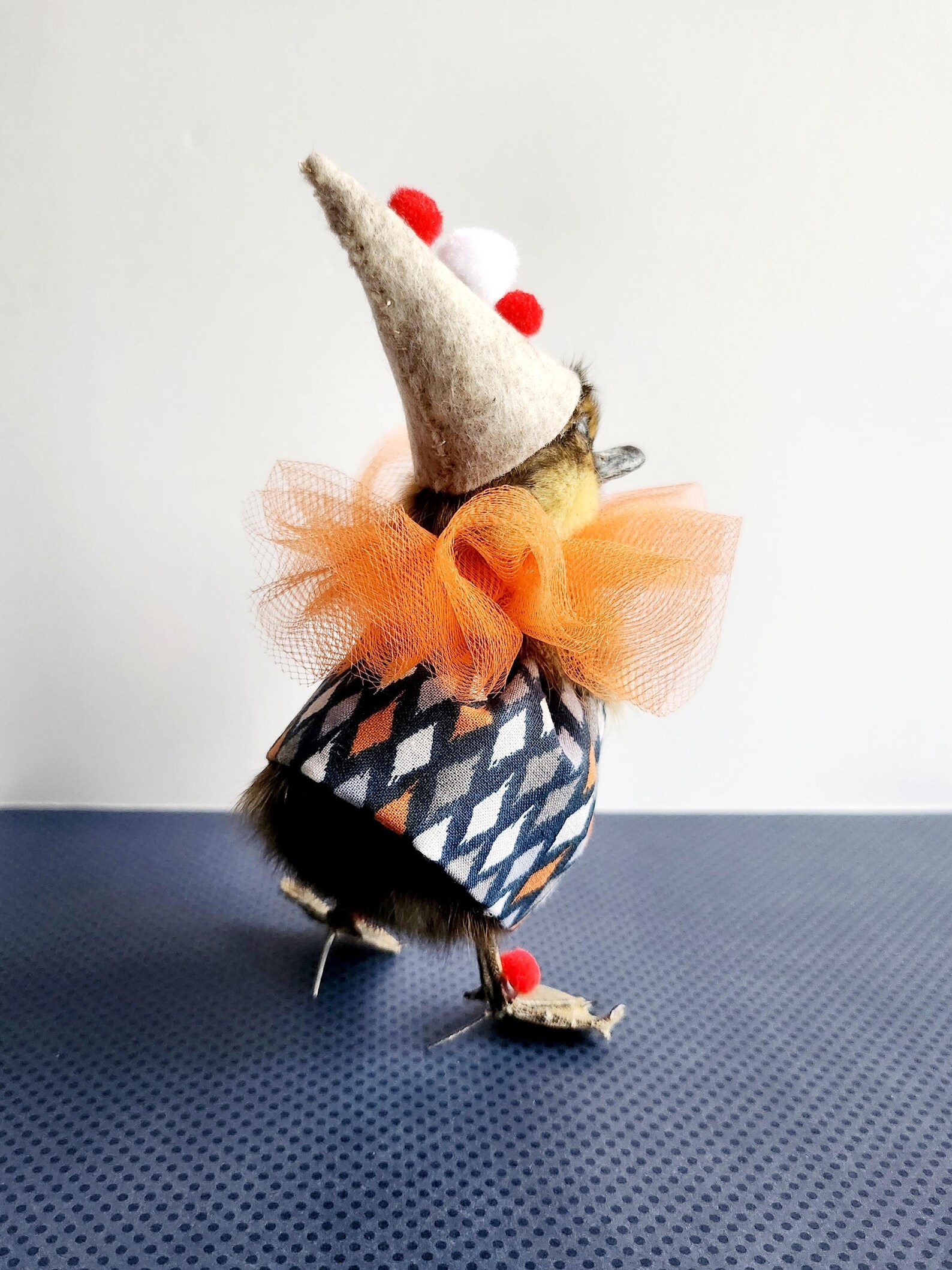 Pierrot Taxidermy Duckling, Blue and Orange Sad Duck Clown, Real ...