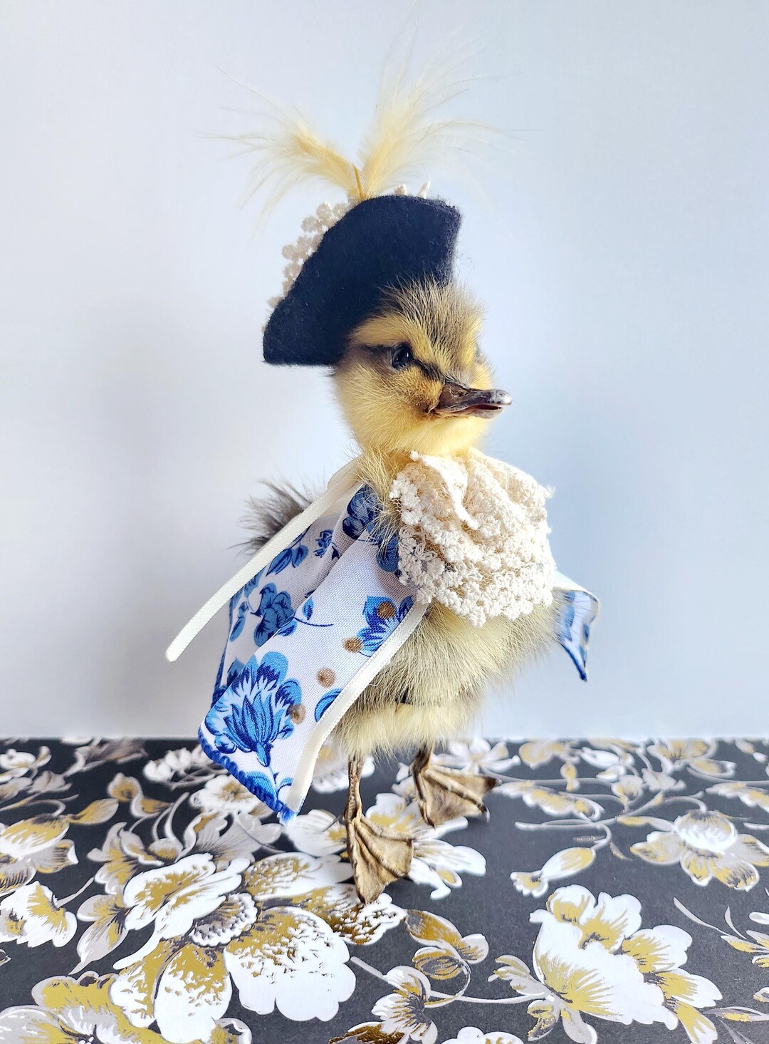 Rococo Gentleman With a Friend Taxidermy Duckling, Ooak Duck Doll With ...