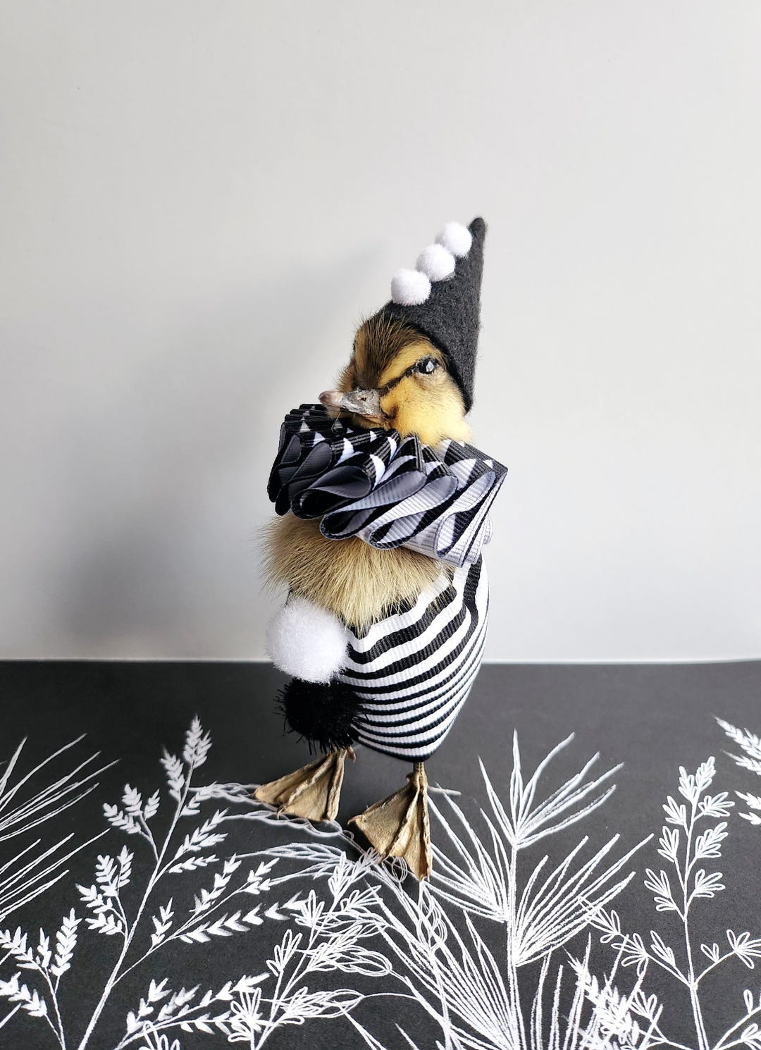 Pierrot Taxidermy Duckling, Black and White Sad Duck Clown, Real ...