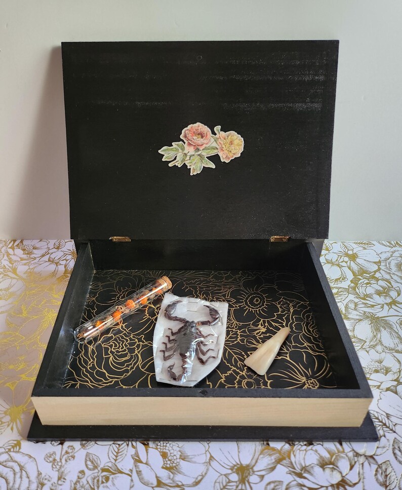 Art Deco Wooden Snake Box, Real Snakeskin Specimen Box With Curiosities ...