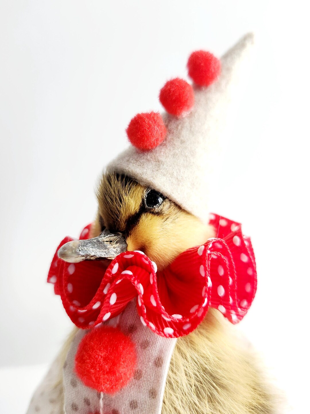 Silly Pierrot Taxidermy Duckling, Red, Cream, and Beige Sad Duck Clown ...
