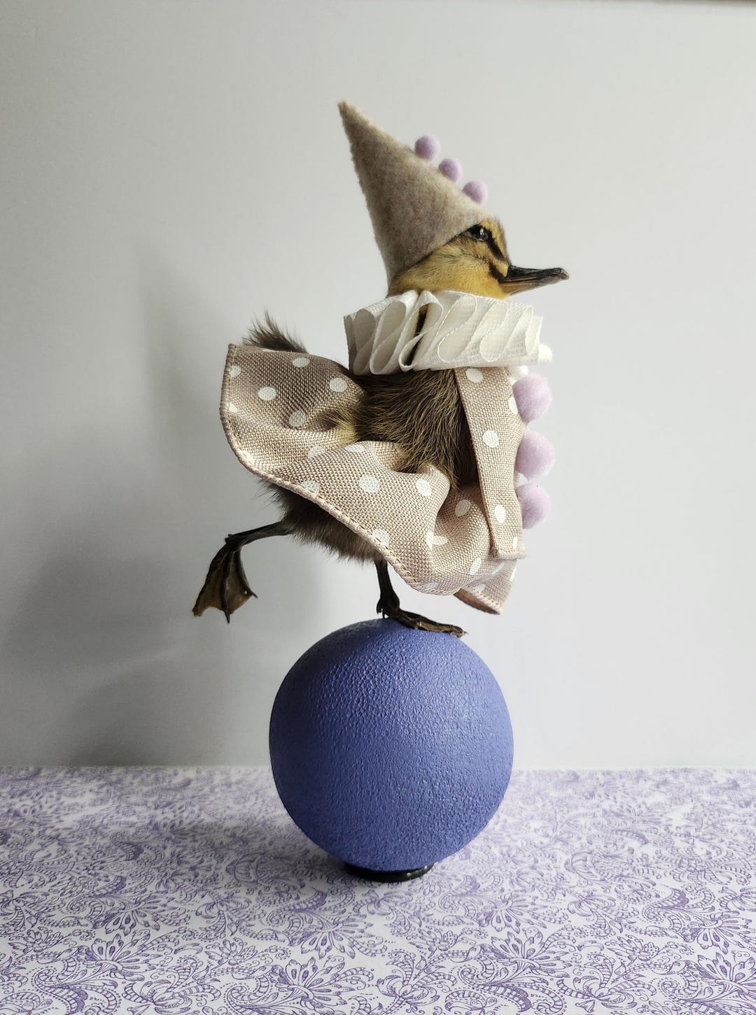 Pierrot Duckling Taxidermy, Ball Balance Act Duck Clown, Real Stuffed ...