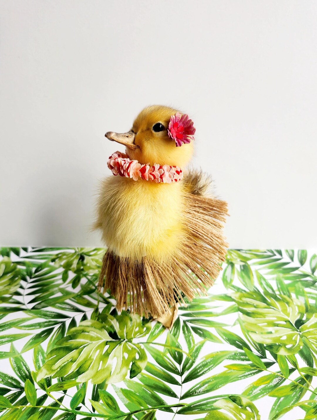 Hula Girl Yellow Duckling Taxidermy, Polynesian Dancer Duck Doll ...