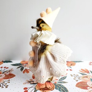 Silly Pierrot Taxidermy Duckling, Peach, White, and Beige Sad Duck ...