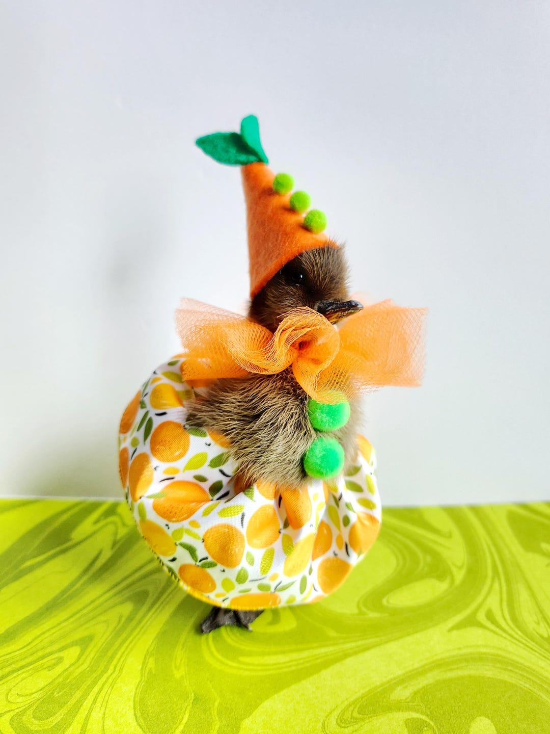 Pierrot Taxidermy Dark Duckling, Green and Orange, Citrus Fruit, Sad ...