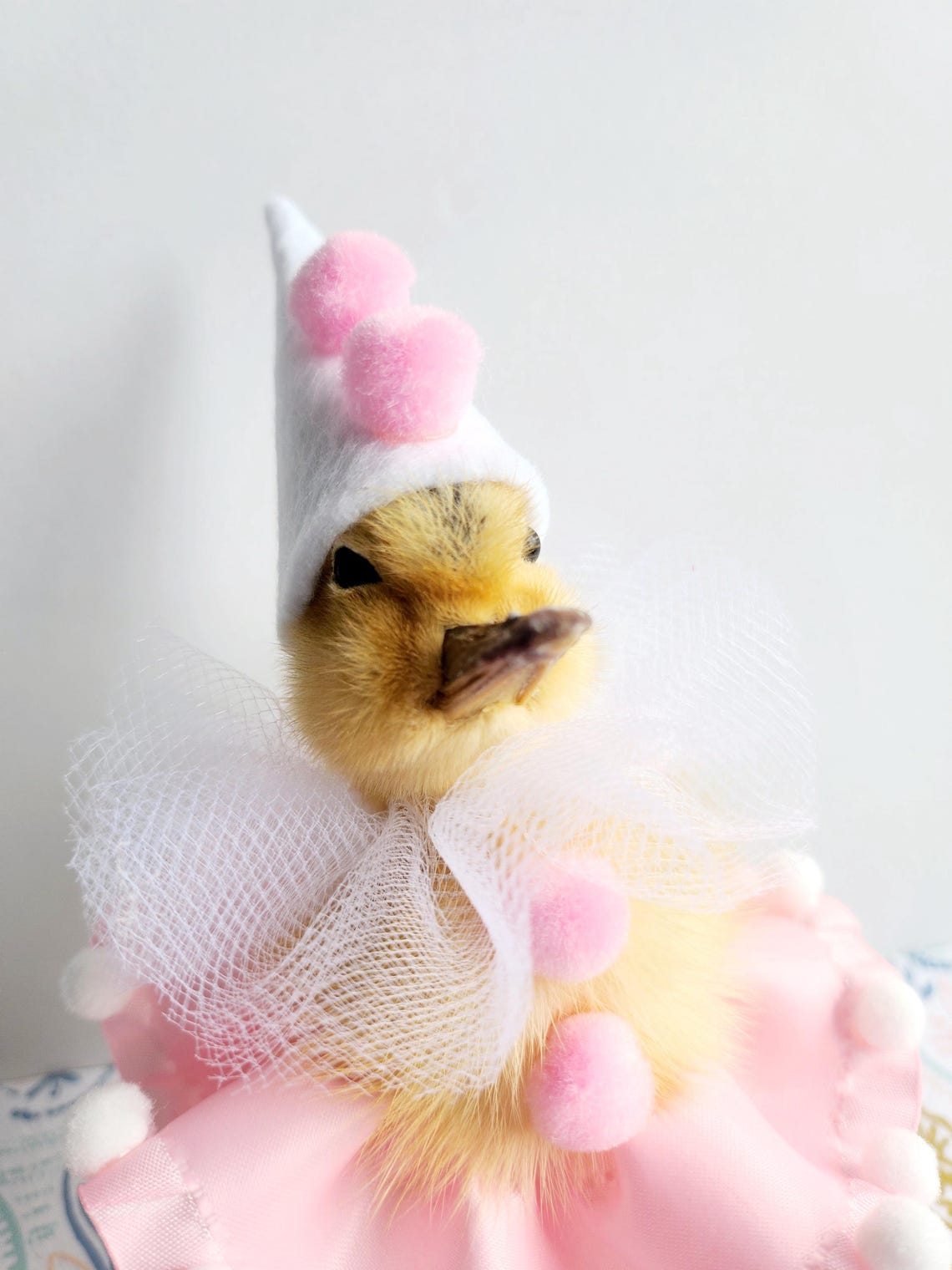 Pierrot Taxidermy Yellow Duckling, Pink Pom Pom Silly Sad Duck Clown ...