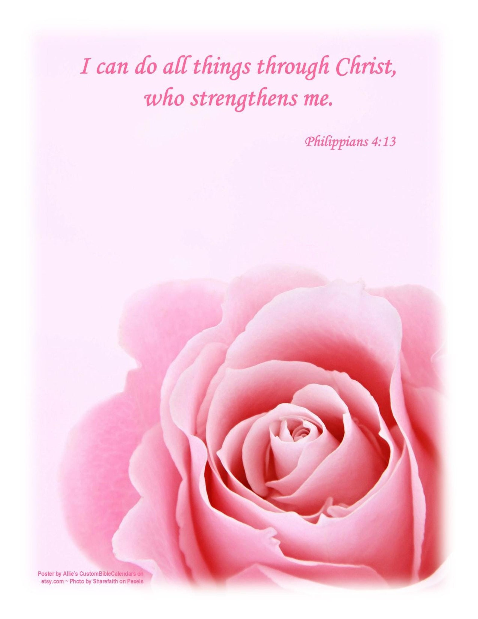 Downloadable Poster, Pink Rose. Your Choice of 7 Popular Bible Verses ...