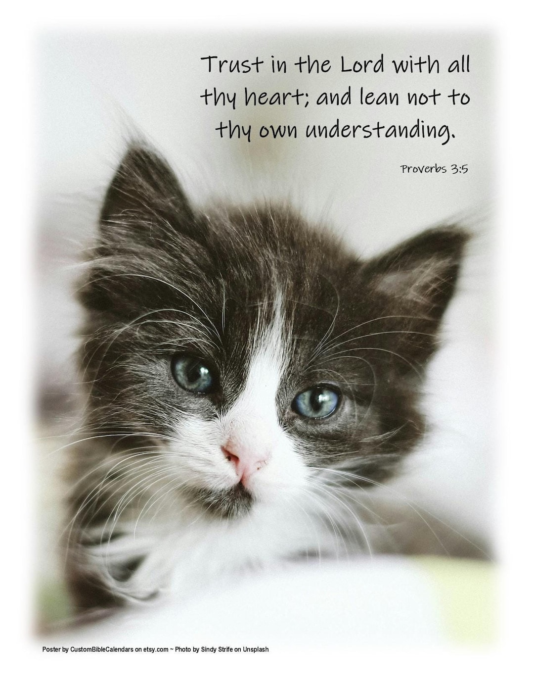 Downloadable Poster, Kitten. Your Choice of 7 Popular Bible Verses (see ...