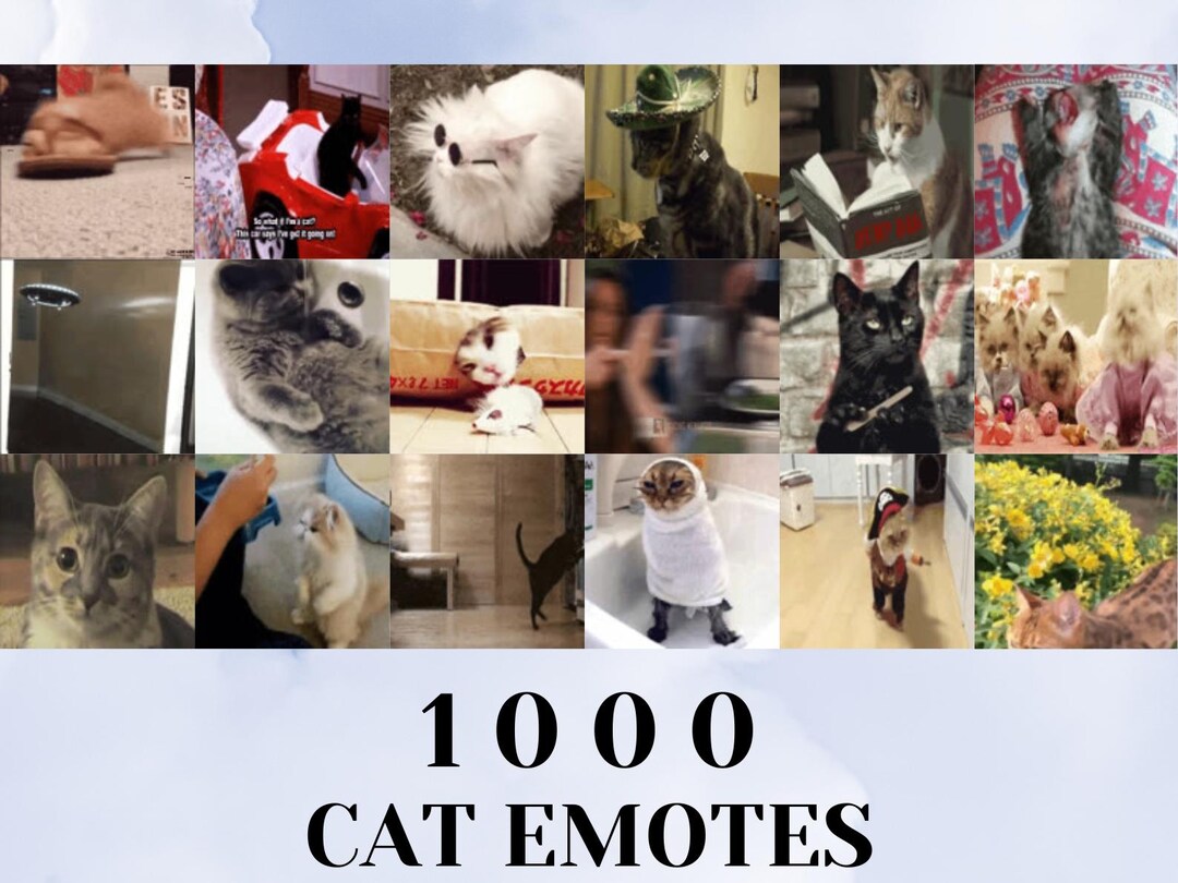 1000 Cute and Funny Cat Emotes for Discord, Twitch, or Social Media ...