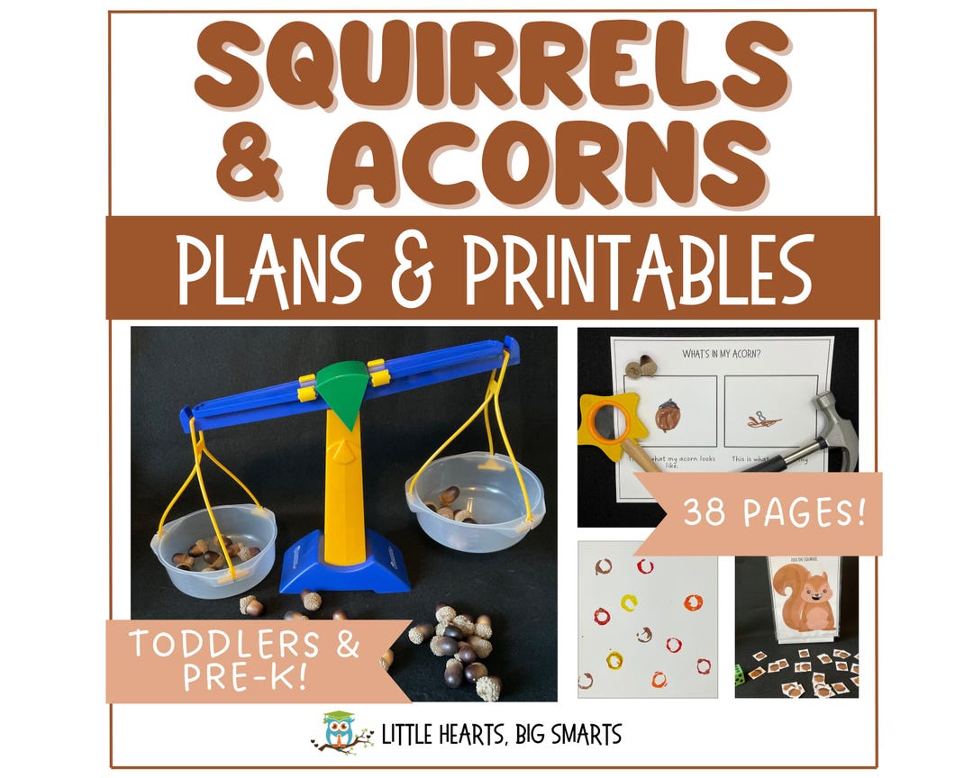 Squirrels & Acorns Weekly Curriculum for Toddlers and Preschoolers ...