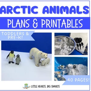 Arctic Animals Preschool Curriculum: Winter Theme Activities (printable ...
