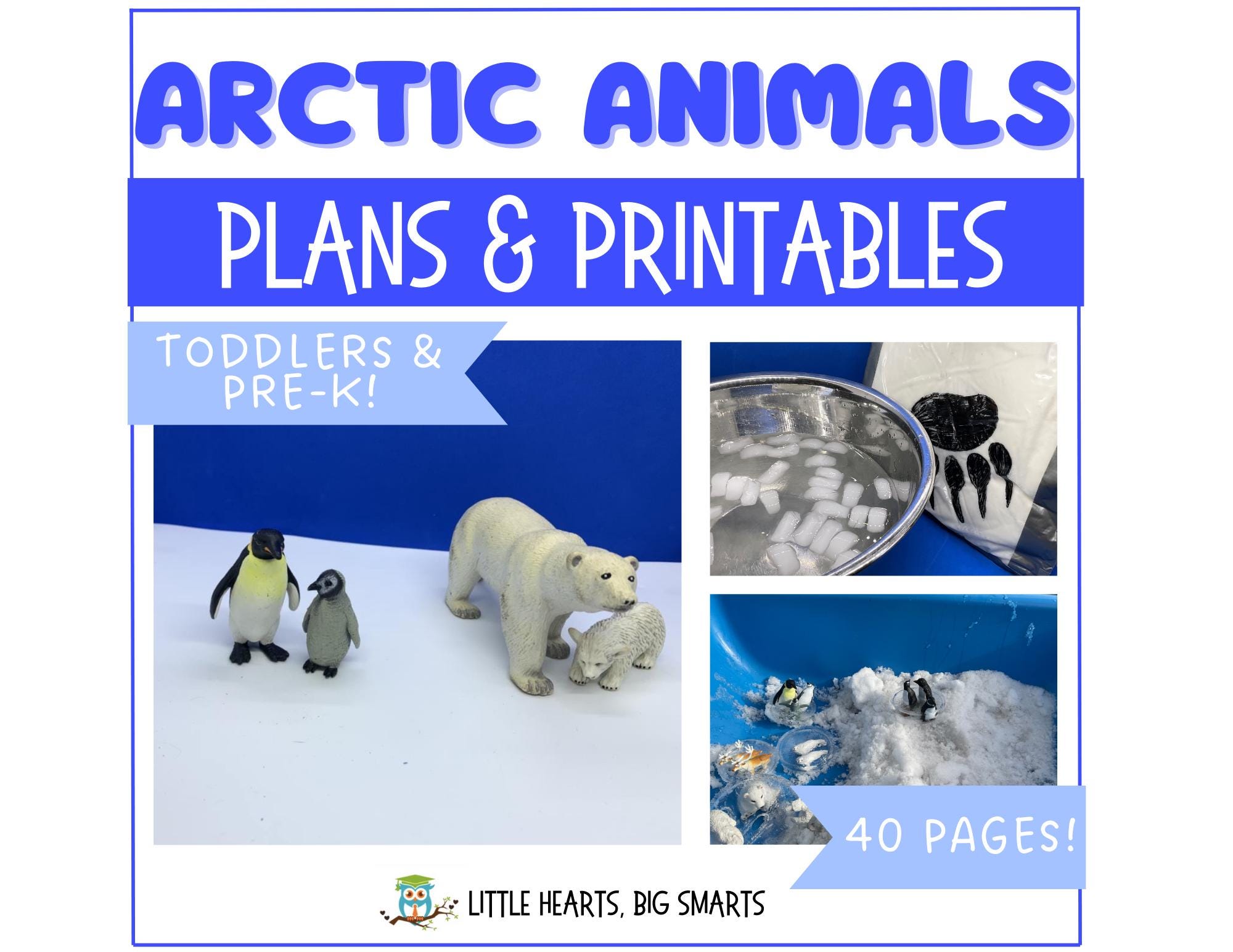 Arctic Animals Preschool Curriculum: Winter Theme Activities (printable ...