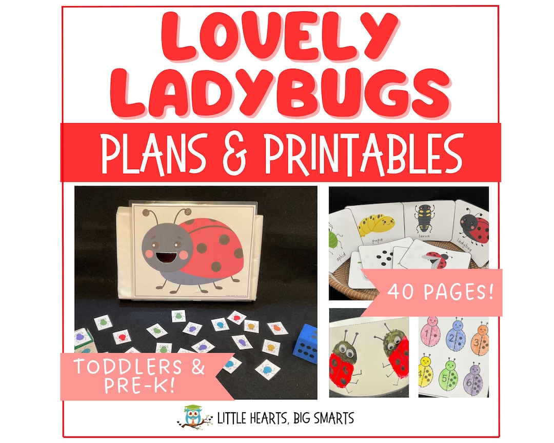 Lovely Ladybugs Preschool Curriculum | Ladybug Insect Theme for ...