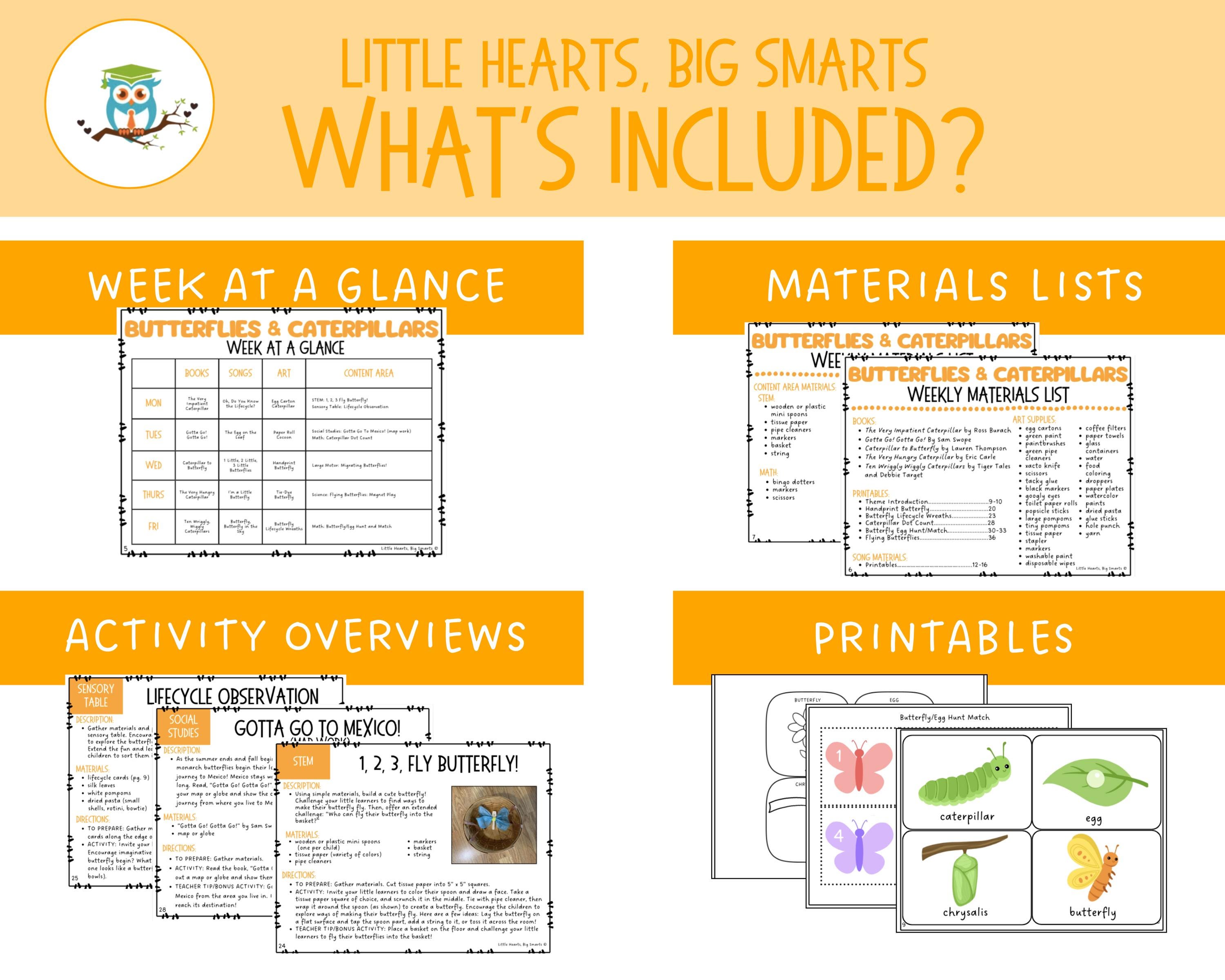 Butterfly Life Cycle Preschool Curriculum: Spring Homeschool Activities ...