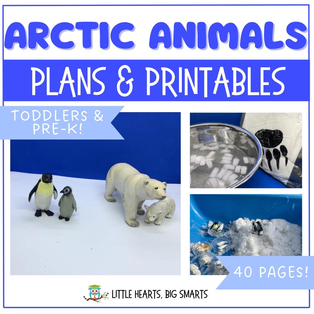 Arctic Animals Pre-k Activities Toddler Daycare Lesson Plans Polar Bear ...