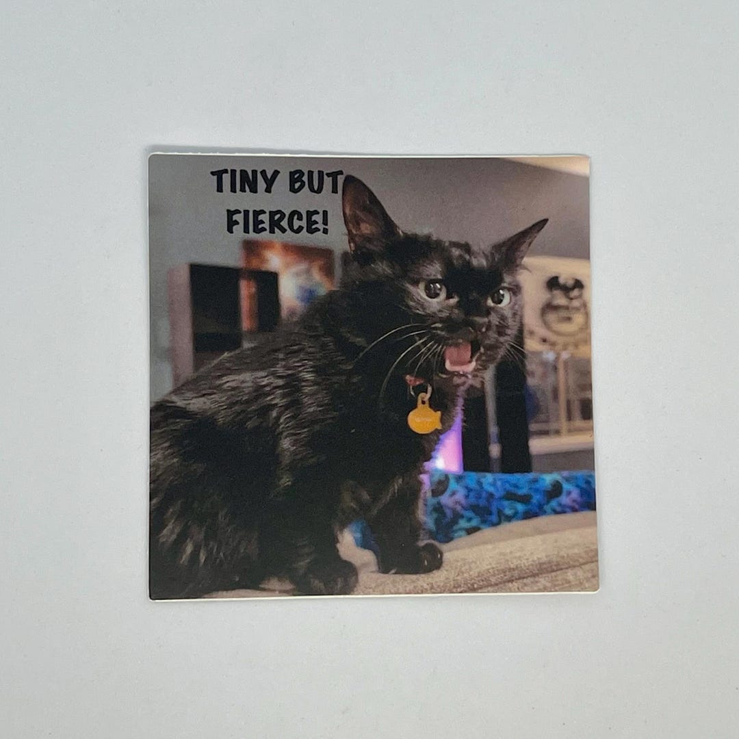 Tiny but Fierce 3 Inch Sticker - Etsy