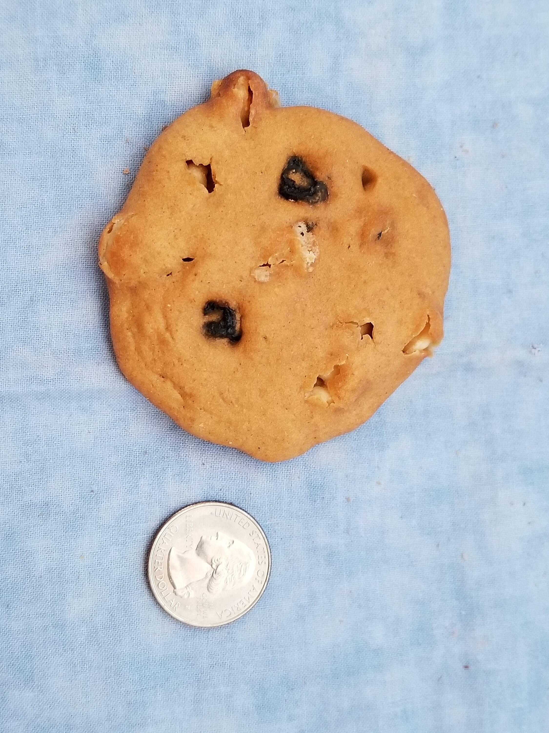 Chip Dog Cookies - 1 Dozen - Etsy