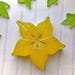 Carambola Soap, Realistic Shaped Exotic Fruit Party Favor, Fake Food ...