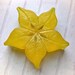 Carambola Soap, Realistic Shaped Exotic Fruit Party Favor, Fake Food ...