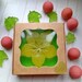 Carambola Soap, Realistic Shaped Exotic Fruit Party Favor, Fake Food ...