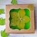 Carambola Soap, Realistic Shaped Exotic Fruit Party Favor, Fake Food ...