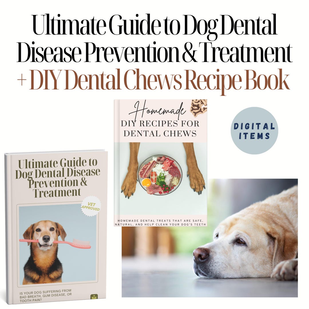 Ultimate Guide to Dog Dental Disease Prevention & Treatment + DIY ...