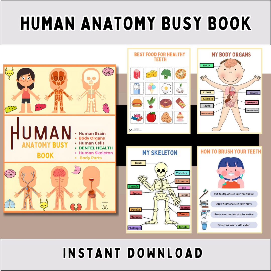 Human Anatomy Busy Book for Kids | Printable Body Parts Activity ...