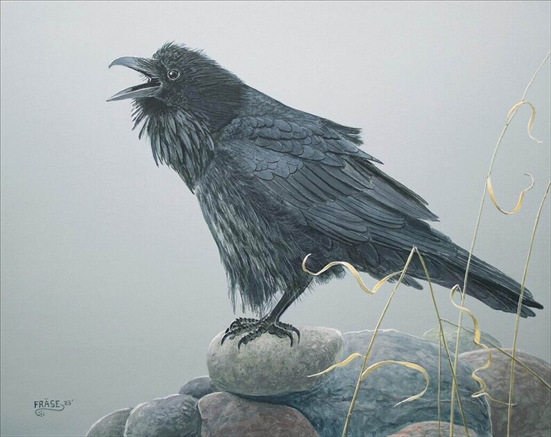 ORIGINAL Bird Art Raven Painting Realism Wildlife Art Duck Stamp DNR DU ...