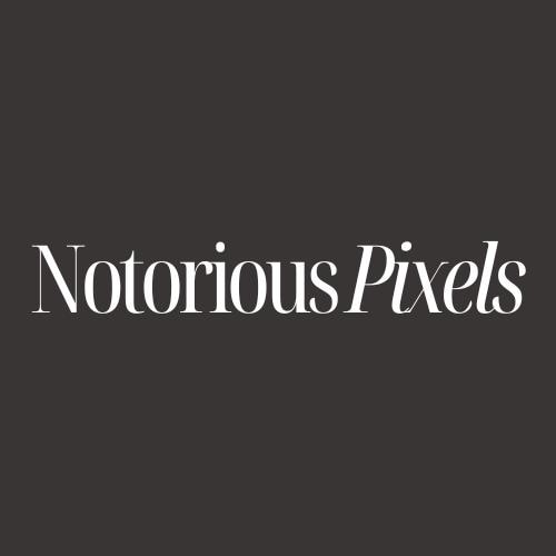 notoriouspixels - Etsy