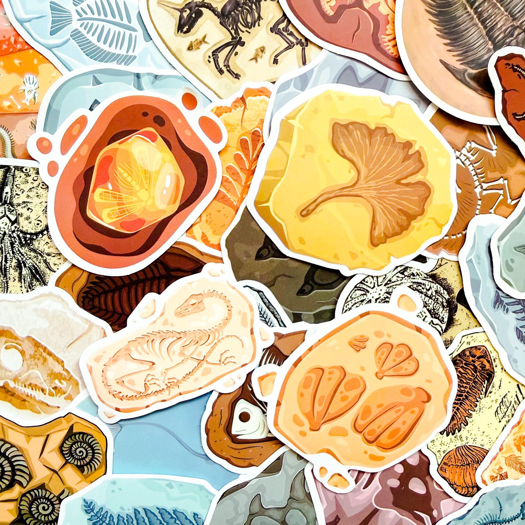 50PCS Fossil Paleontology Stickers, Vintage Rock Texture Stickers ...