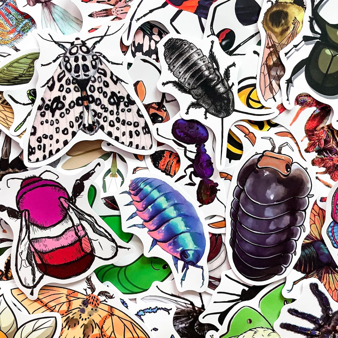 50PCS Bug Character Stickers, Playful Entomology Stickers, Varied ...