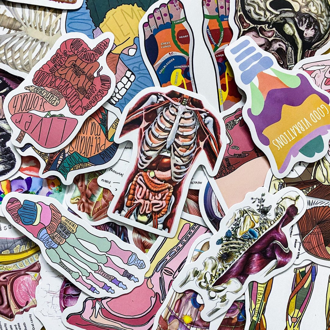 100 Random Human Body Stickers, Anatomical Stickers, Skeleton and ...