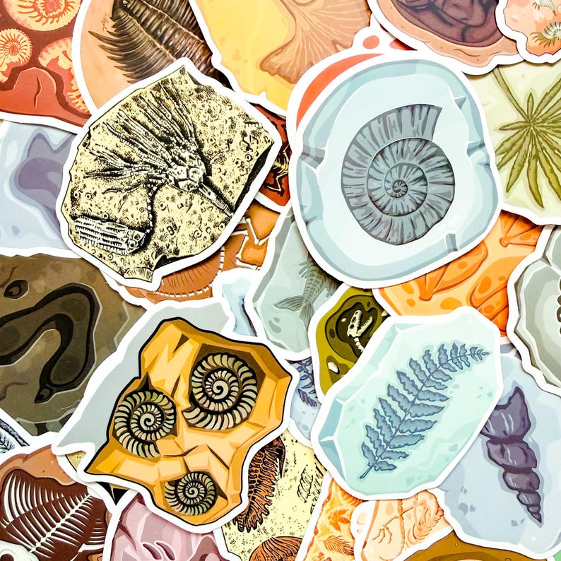 50PCS Fossil Paleontology Stickers, Vintage Rock Texture Stickers ...