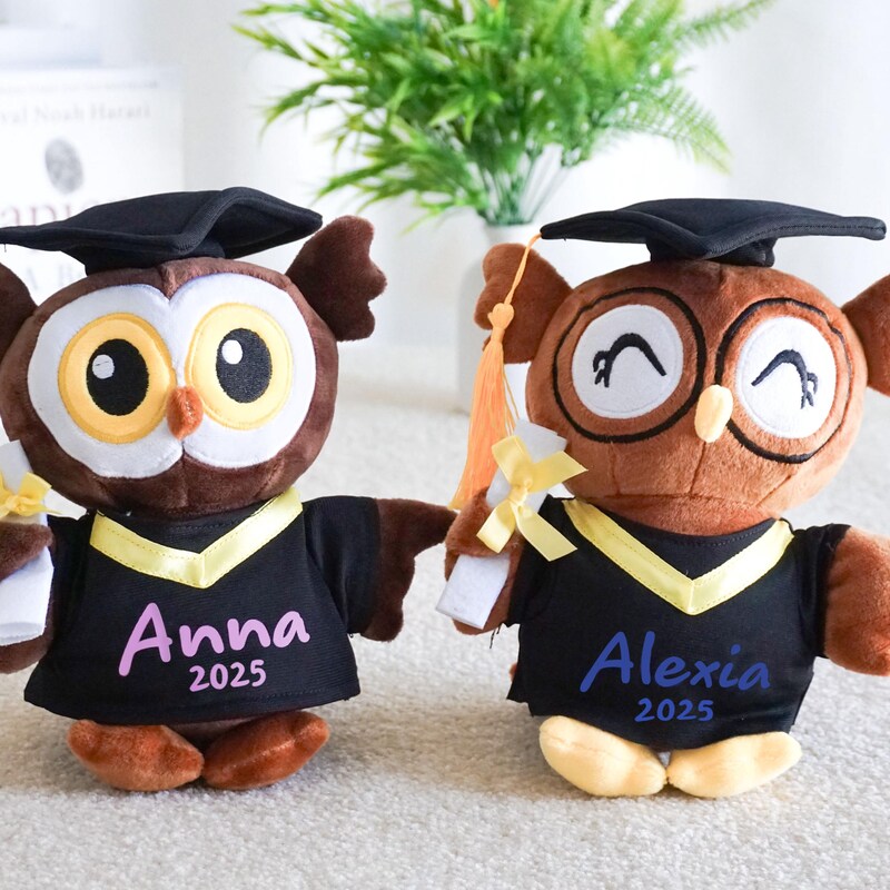 Graduation Owls - Etsy