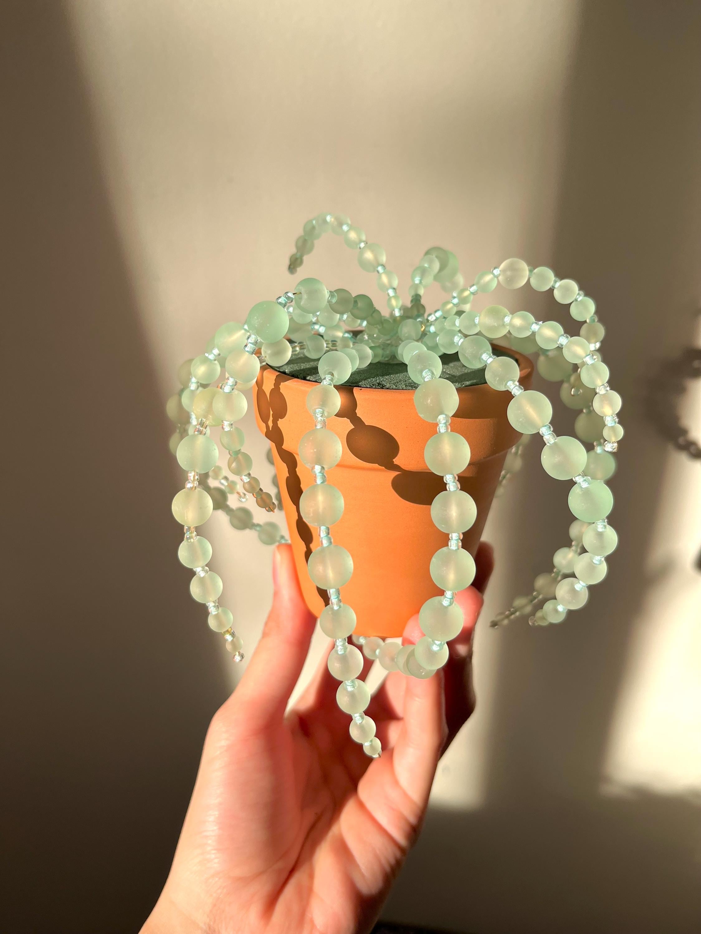 Beaded Plant String of Pearls, Forever Succulent, Plant Decor - Etsy