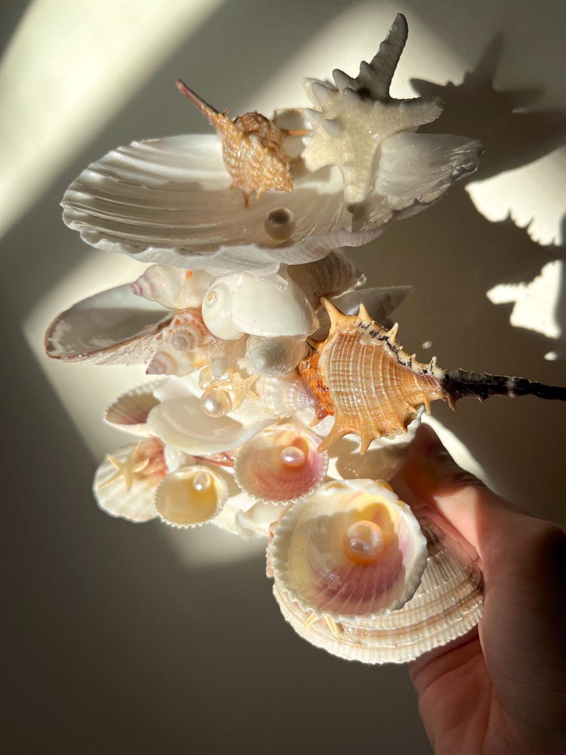 Seashell Jewelry Holder, Jewelry Display, Ocean Aesthetic, Beach ...