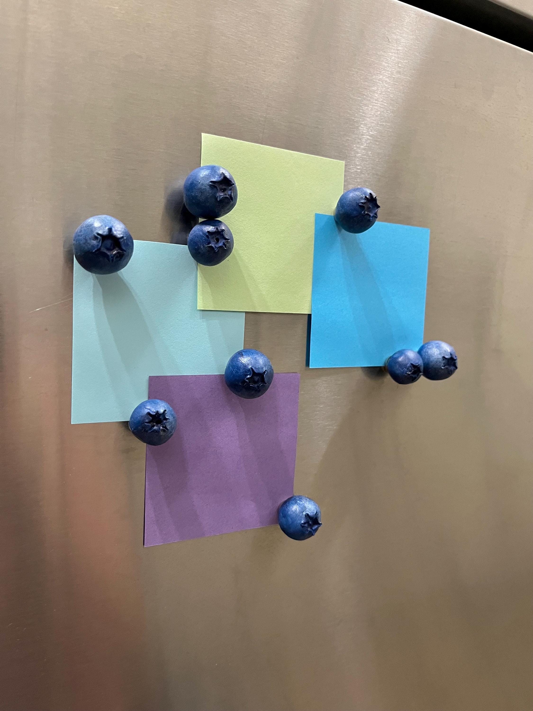 Blueberry Magnet, 3D Magnets, Fridge Magnets, Handmade, Gift for Home ...