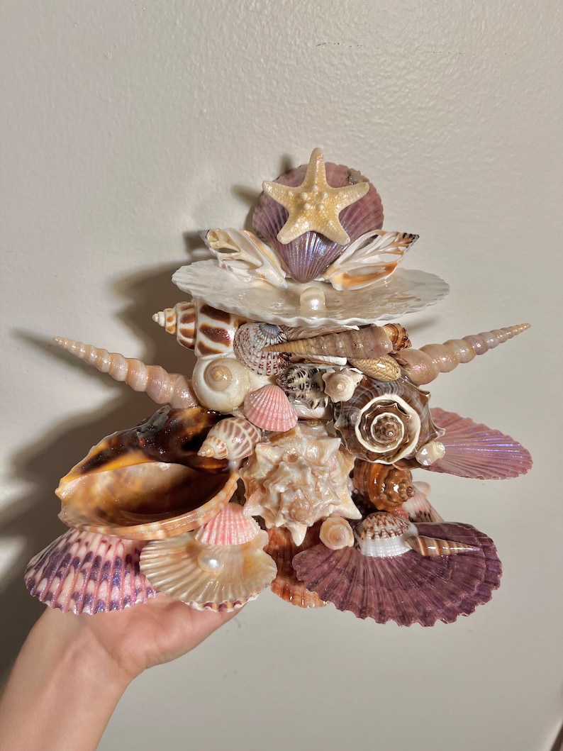 Seashell Jewelry Holder, Jewelry Display, Ocean Aesthetic, Beach ...