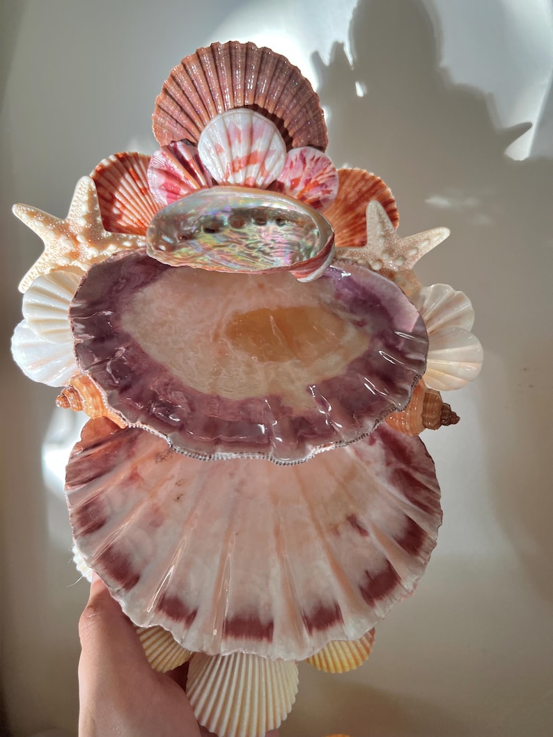 Seashell Jewelry Holder, Jewelry Display, Ocean Aesthetic, Beach ...