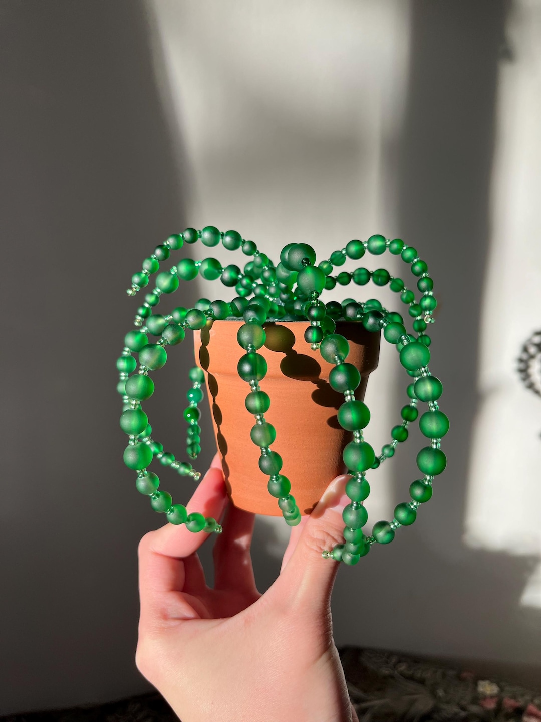 Beaded Plant String of Pearls, Forever Succulent, Plant Decor - Etsy