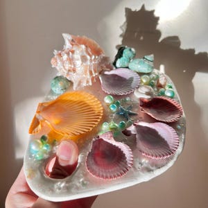 Seashell Paint Palette, Ocean Aesthetic, Beach Aesthetic, Genuine ...