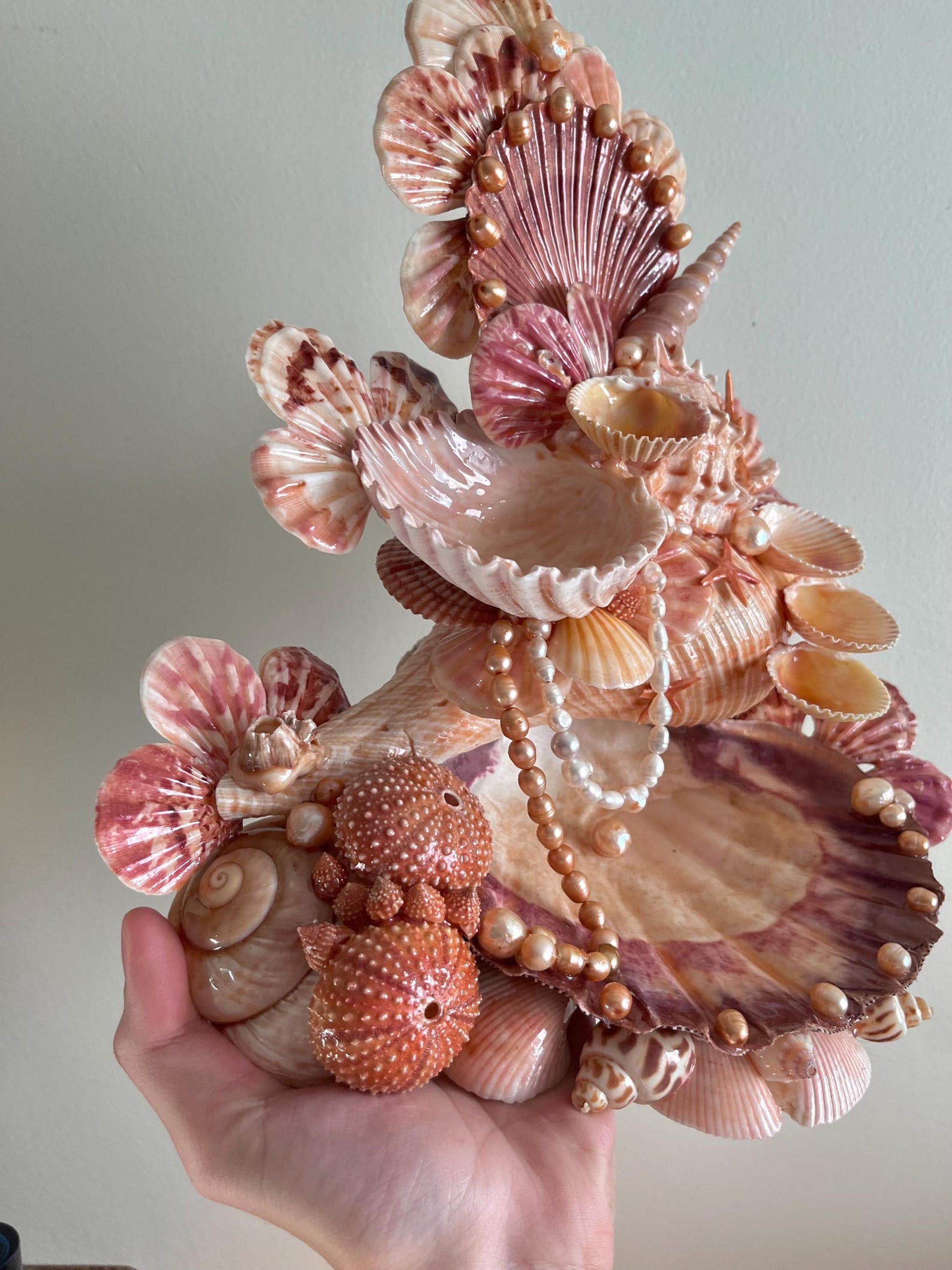 Seashell Jewelry Holder, Jewelry Display, Ocean Aesthetic, Beach ...