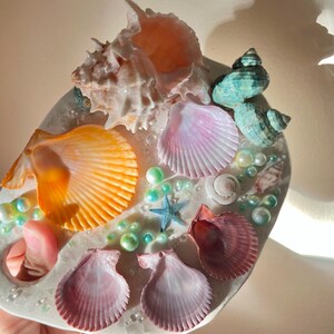 Seashell Paint Palette, Ocean Aesthetic, Beach Aesthetic, Genuine ...