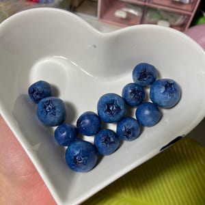 Blueberry Magnet, 3D Magnets, Fridge Magnets, Handmade, Gift for Home ...