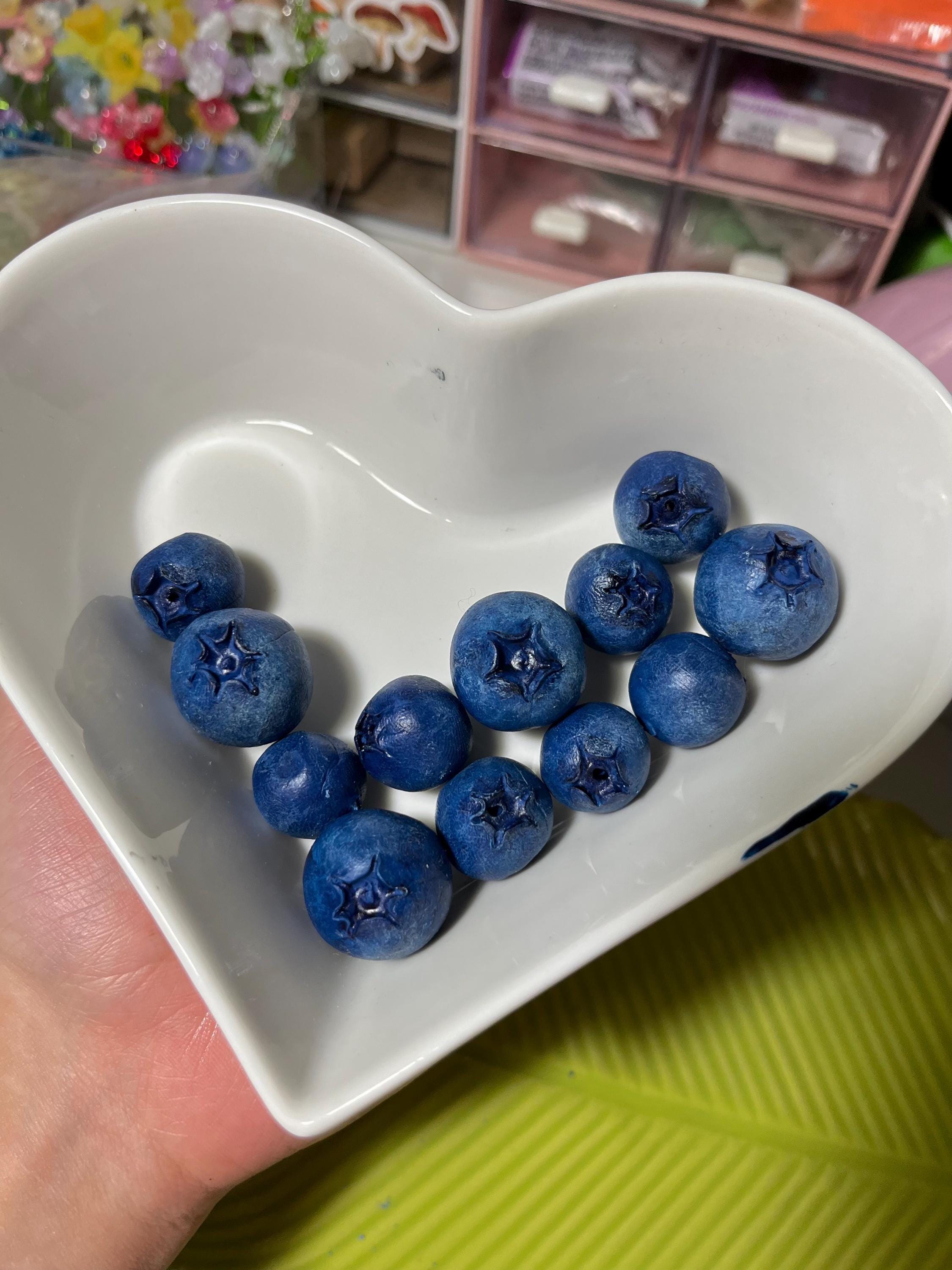 Blueberry Magnet, 3D Magnets, Fridge Magnets, Handmade, Gift for Home ...