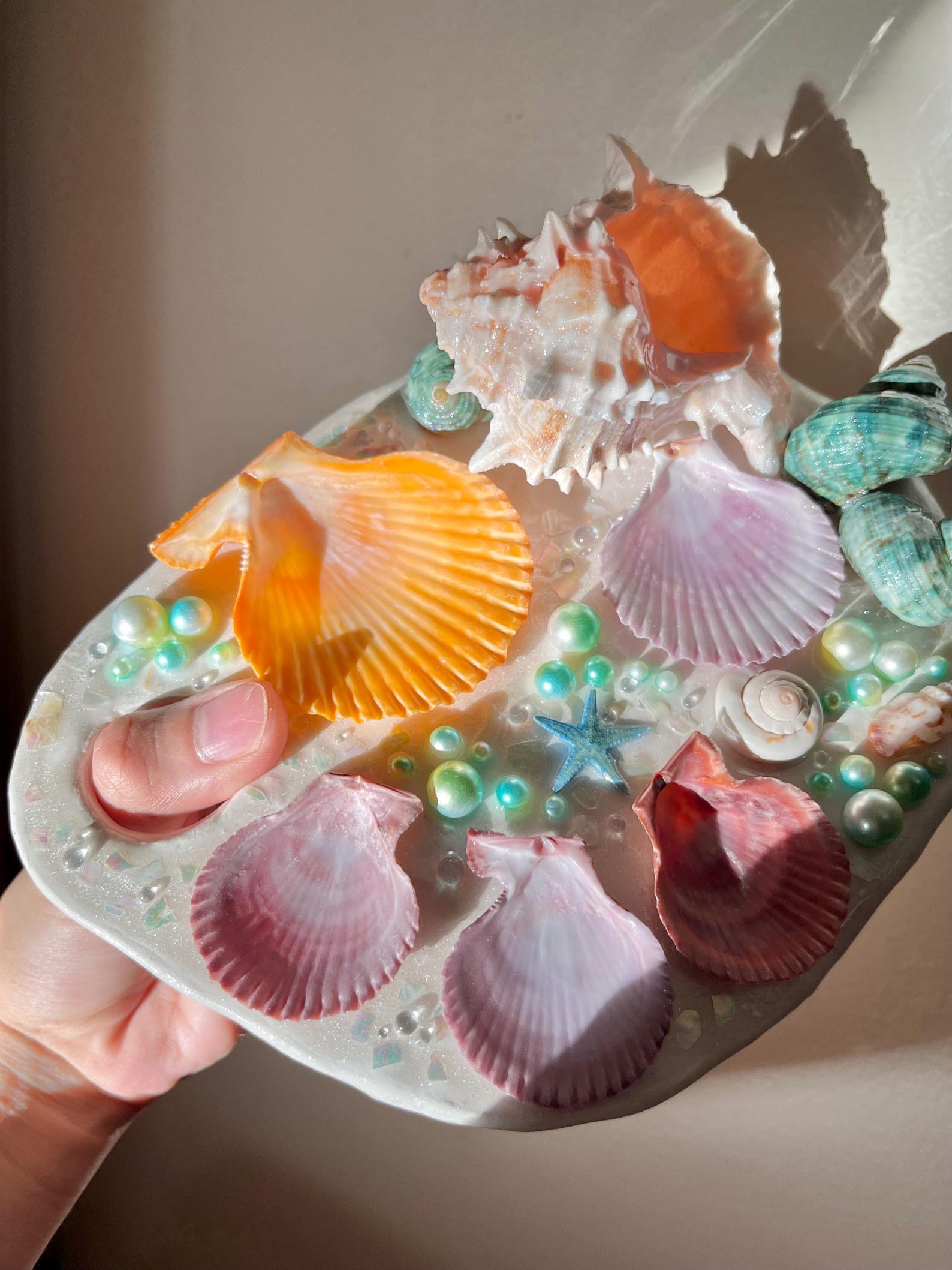 Seashell Paint Palette, Ocean Aesthetic, Beach Aesthetic, Genuine ...