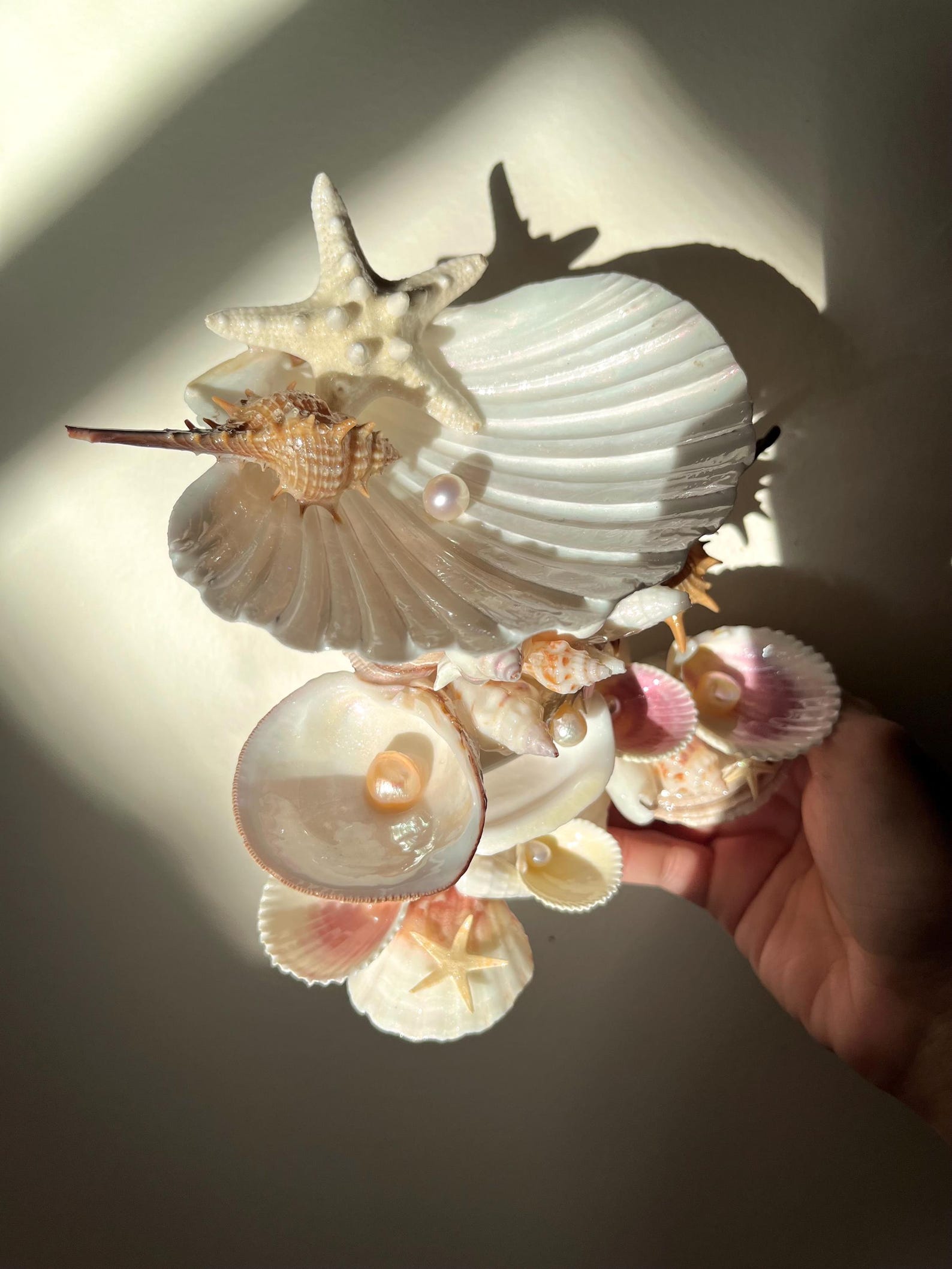 Seashell Jewelry Holder, Jewelry Display, Ocean Aesthetic, Beach ...